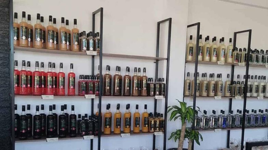 BACANORA: LA BEBIDA TRADICIONAL DE SONORA QUE CONQUISTA EL RANKING DE ...