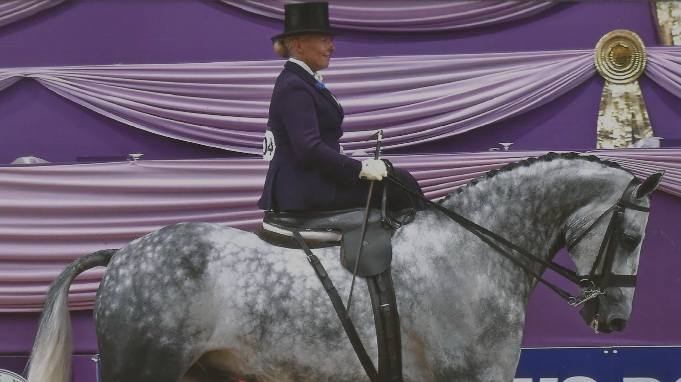 ABOUT | Simply Side Saddles