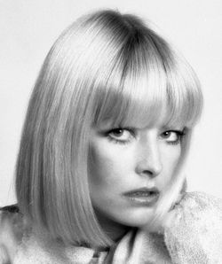 Home | Allan Warren Photos