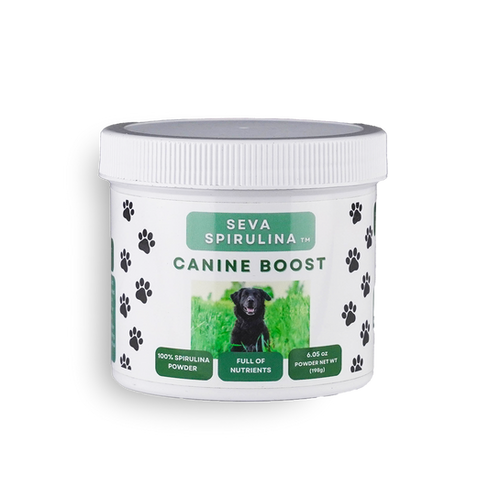 SEVA Canine Boost - 6 Ounce: Best Spirulina for Dogs