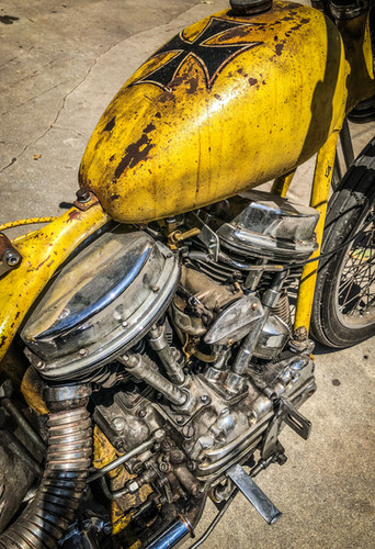 Mello Yellow Panhead - Fine Art Print | church-of-chop