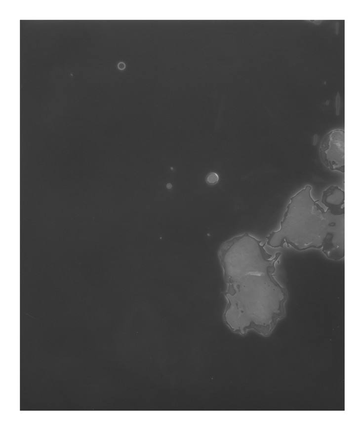 Linsey Gosper + Jack Sargeant | Linsey Gosper