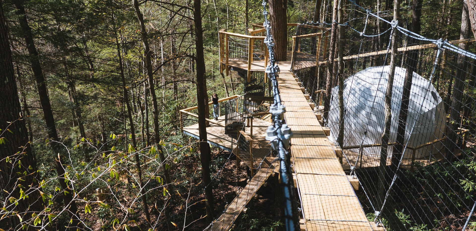 The Canopy Crew | Tree House Rentals | Red River Gorge, KY