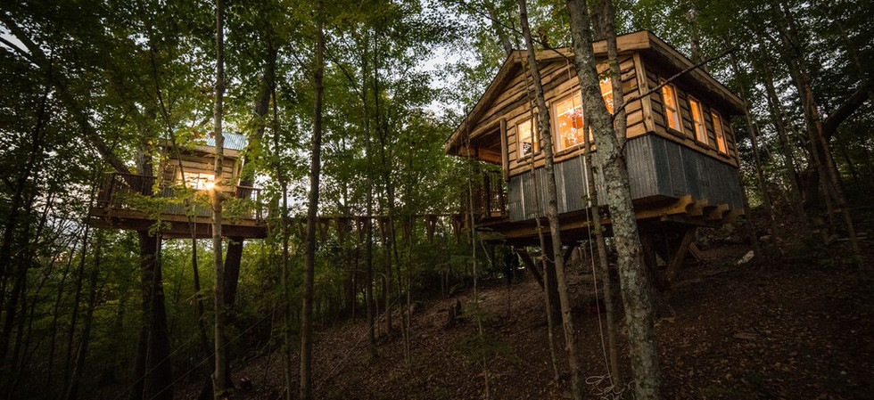 canopycrew, canopykings, treehouses