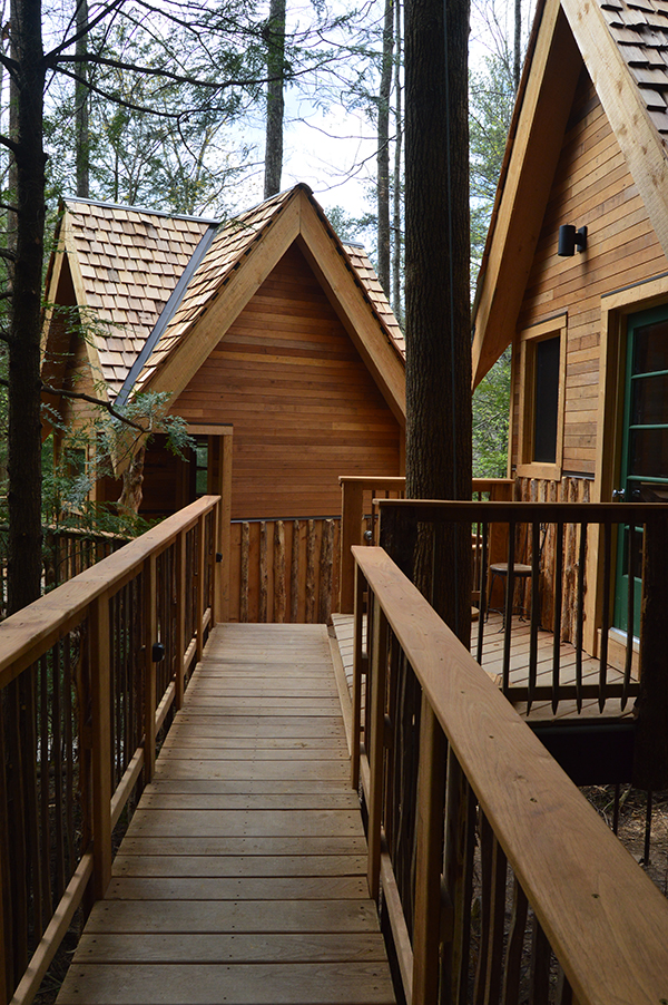 The Canopy Crew | Tree House Rentals | Red River Gorge, KY