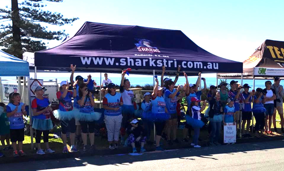 Fullscreen Page | sharkstriclub