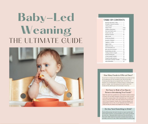 The Ultimate Baby-Led Weaning Guide | therealisticrd