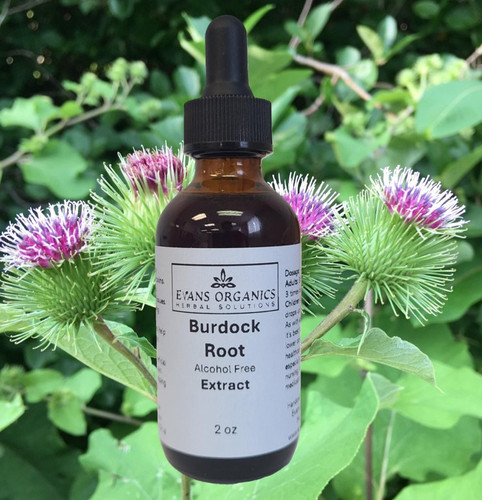 Burdock Root Extract - 2 oz | Evans organics