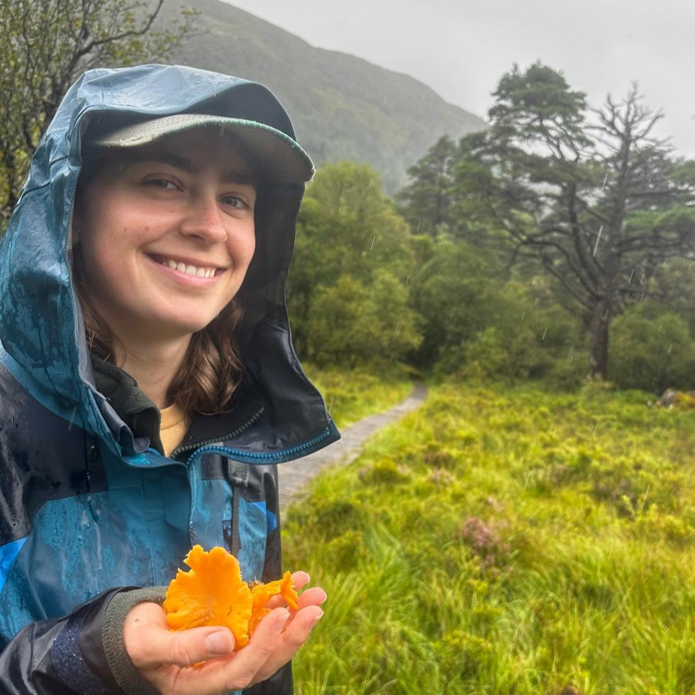 Natasha Allen | Redwingecology.com