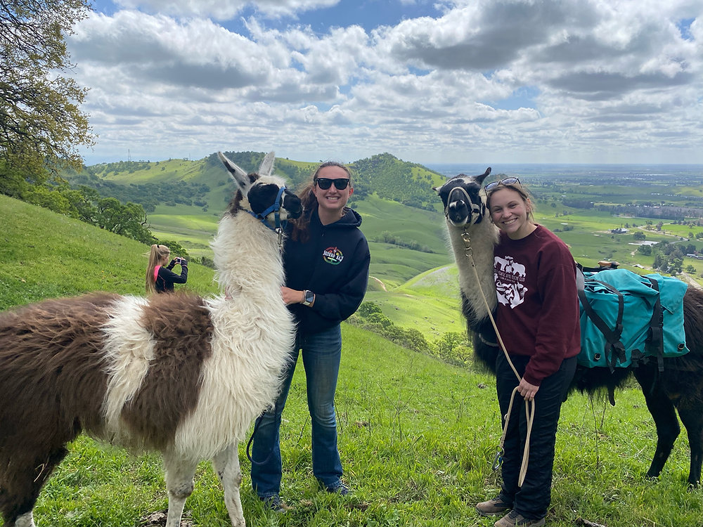 S2 Week 12: Neuroanatomical Localization, Llama Hike, and VROM!