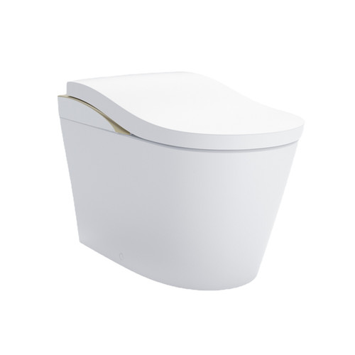 NEOREST® LS DUAL FLUSH TOILET - 1.0 GPF & 0.8 GPF with NICKEL TRIM ...