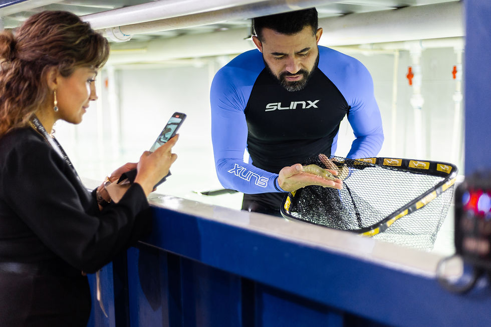 Atarraya | Revolutionizing Aquaculture: Sustainable Shrimp Farming