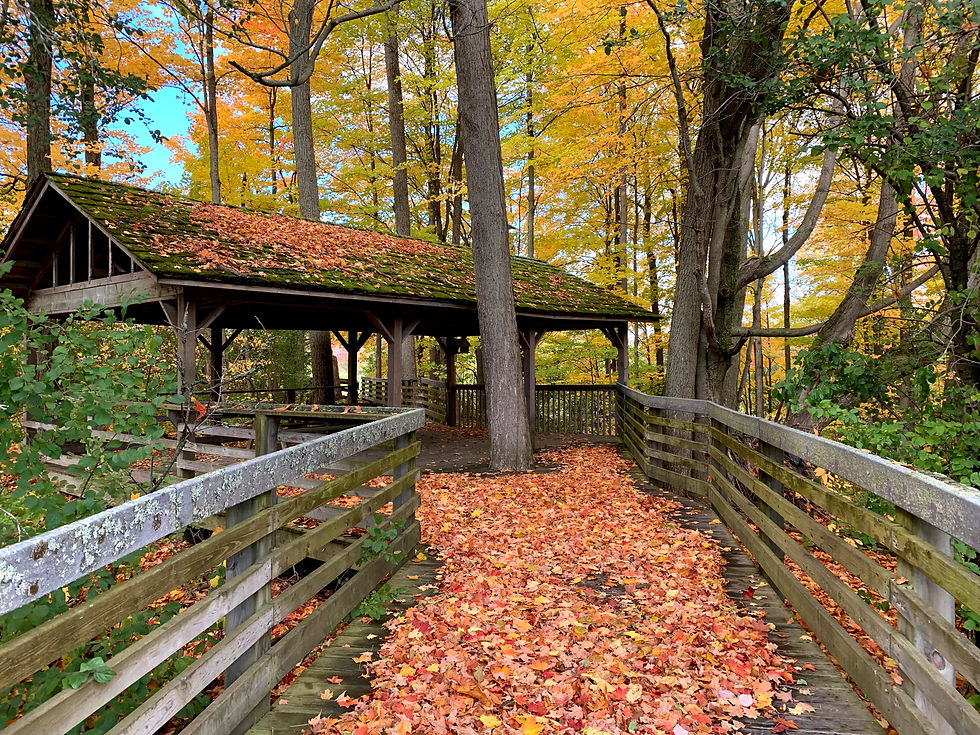 PHOTOS | WindReach Farm