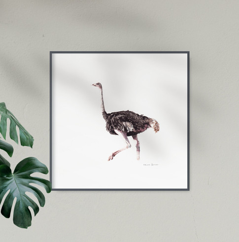 Wildlife Art | Carina Kramer