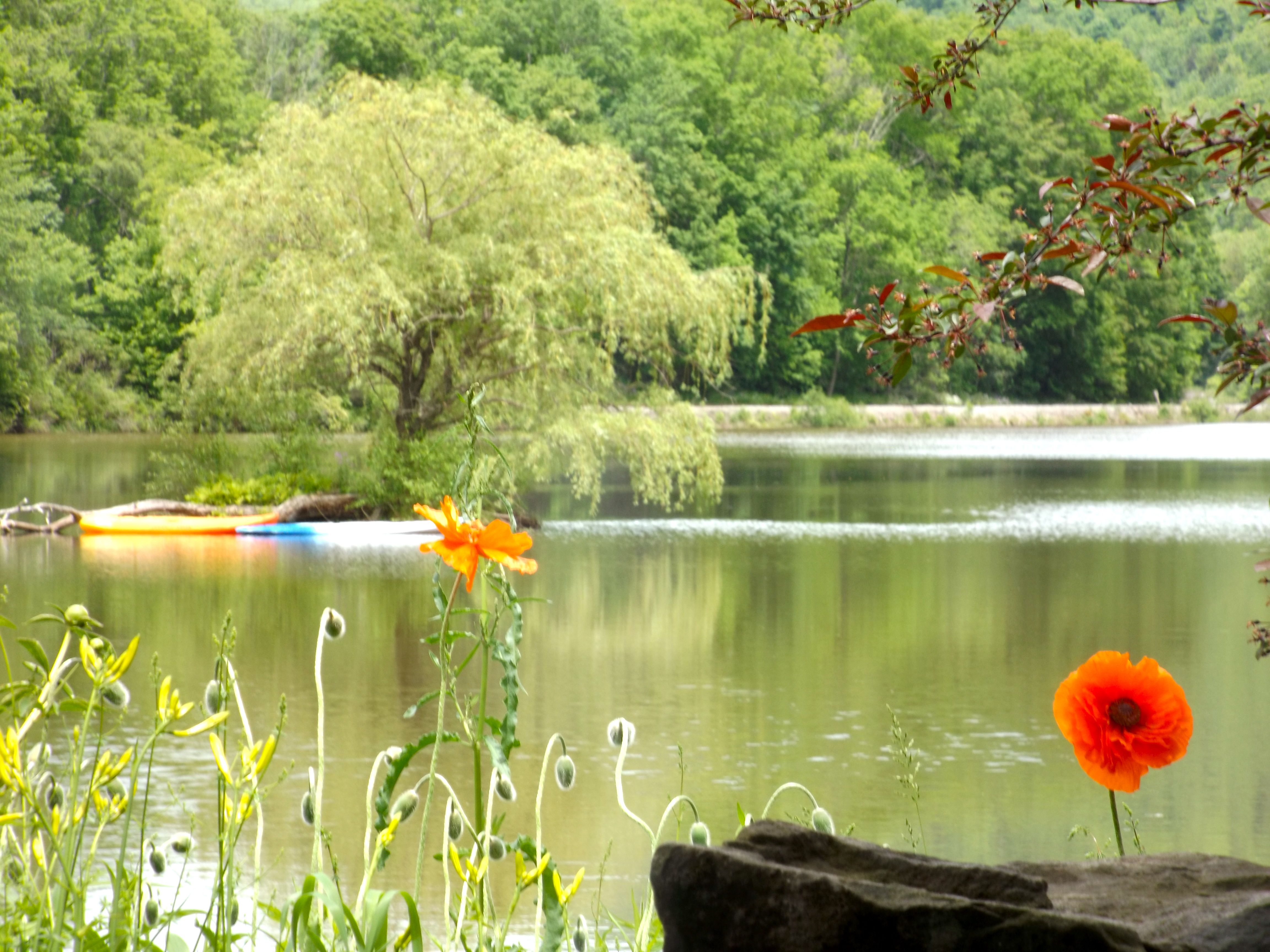 Explore | lake-wawaka-getaway