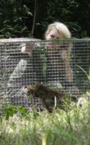 Lee Celano | lbrefuge