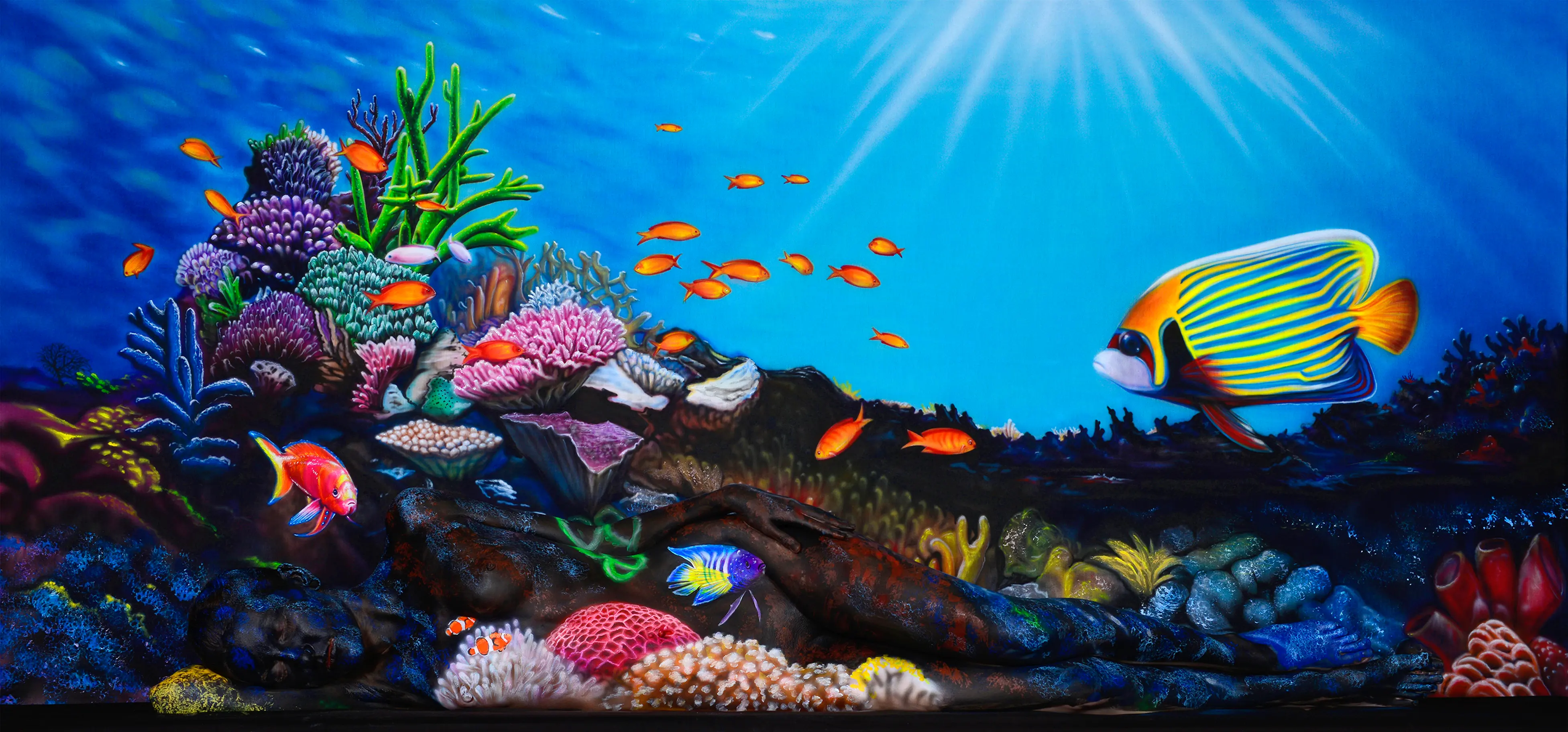 Animals Gallery | Craig Tracy Gallery