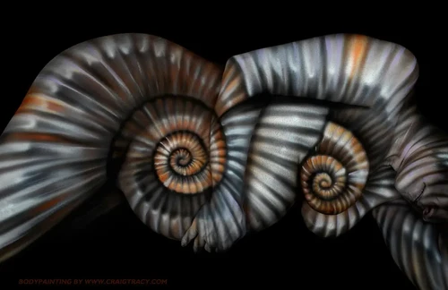 Sanctuary | Craig Tracy Gallery