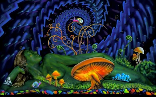 Wonderland | Craig Tracy Gallery