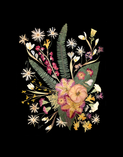 Pressed Flowers #2 | Wild Arts Learning