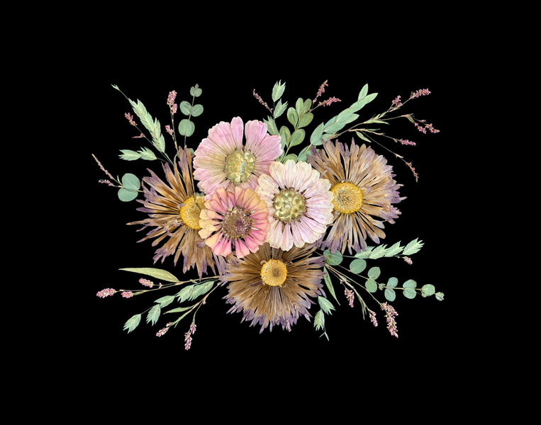 Program List | Wild Arts Learning