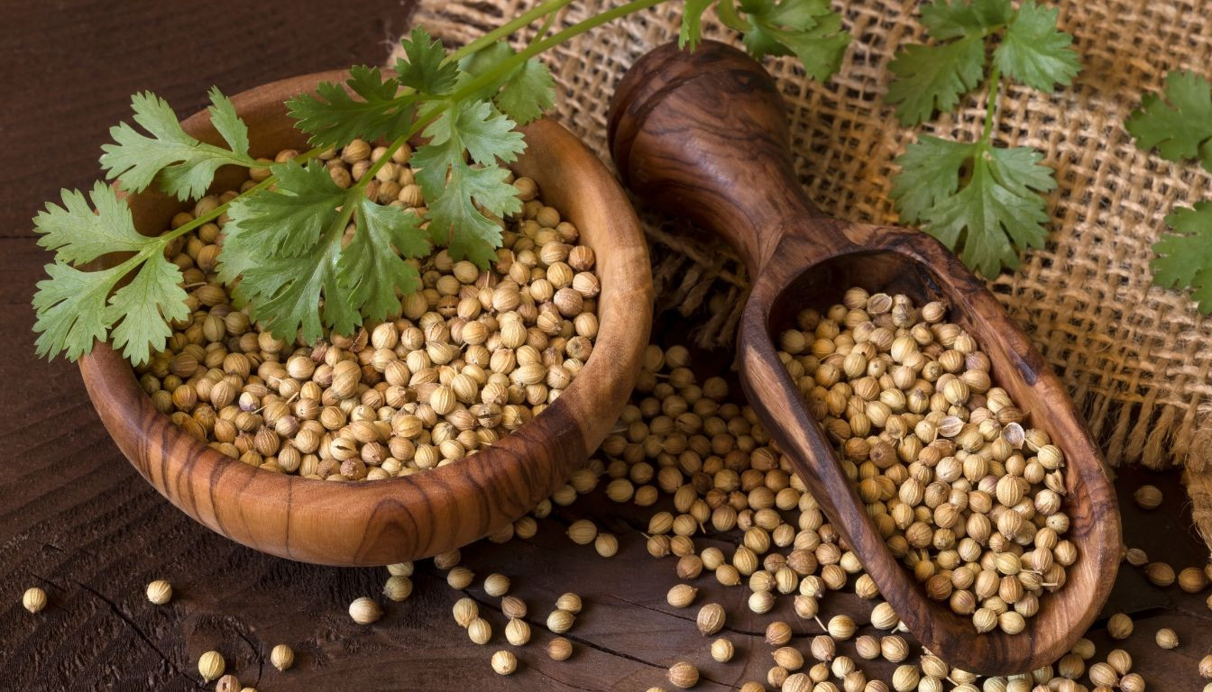 The Wonderful World of Spices: Coriander - Explore Its Culinary Magic