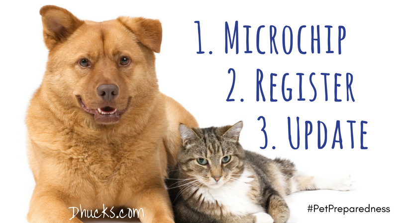 3 Easy Steps to the Safe Return of Your Pet