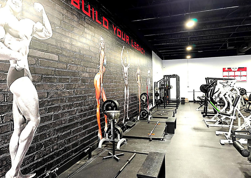 Home | Metroflex Gym Tampa