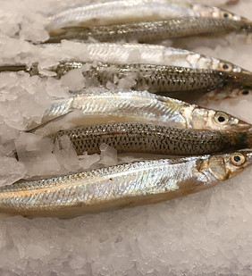 Food Grade | North Atlantic Pacif