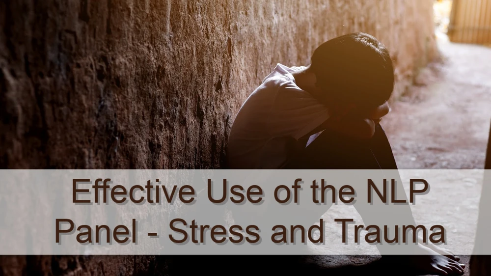 Effective Use of the NLP Panel - Stress and Trauma | Seriously Smart Tech