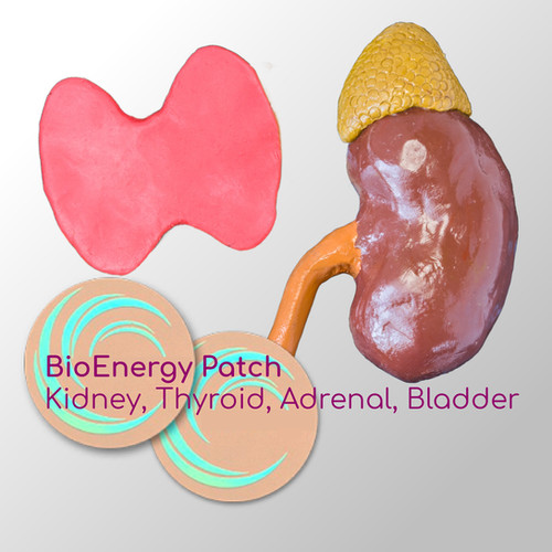 Kidney, Thyroid, Adrenal, Bladder - BioEnergy Patch (10 Pack ...