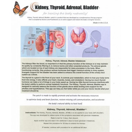 Kidney, Thyroid, Adrenal, Bladder - BioEnergy Patch (10 Pack ...