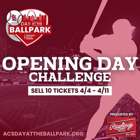 HOME | ACS Day at Ballpark