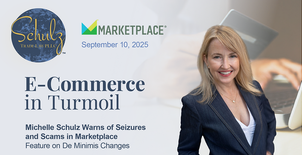 E-Commerce in Turmoil: Michelle Schulz Warns of Seizures and Scams in ...