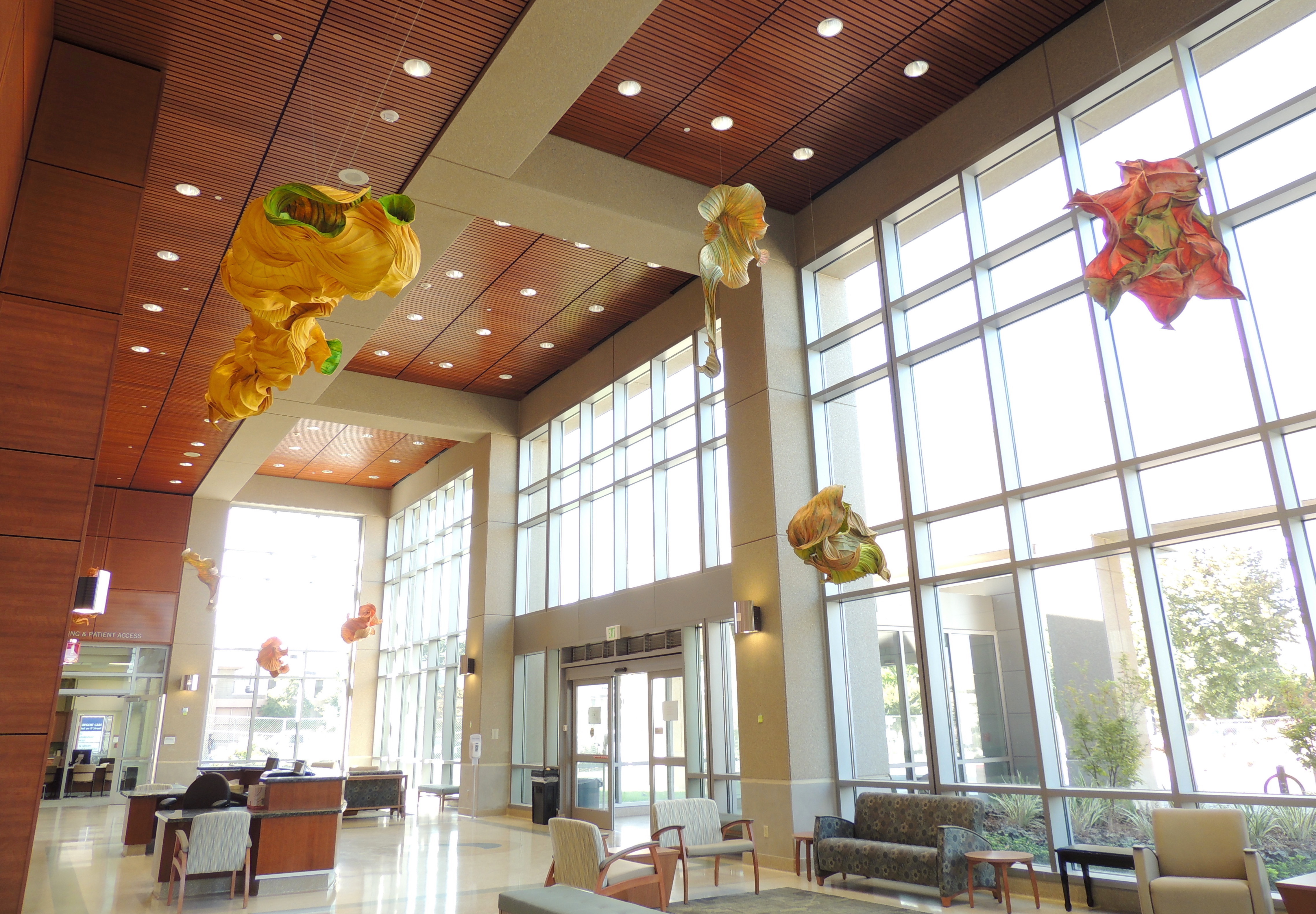 Rideout Medical Hospital