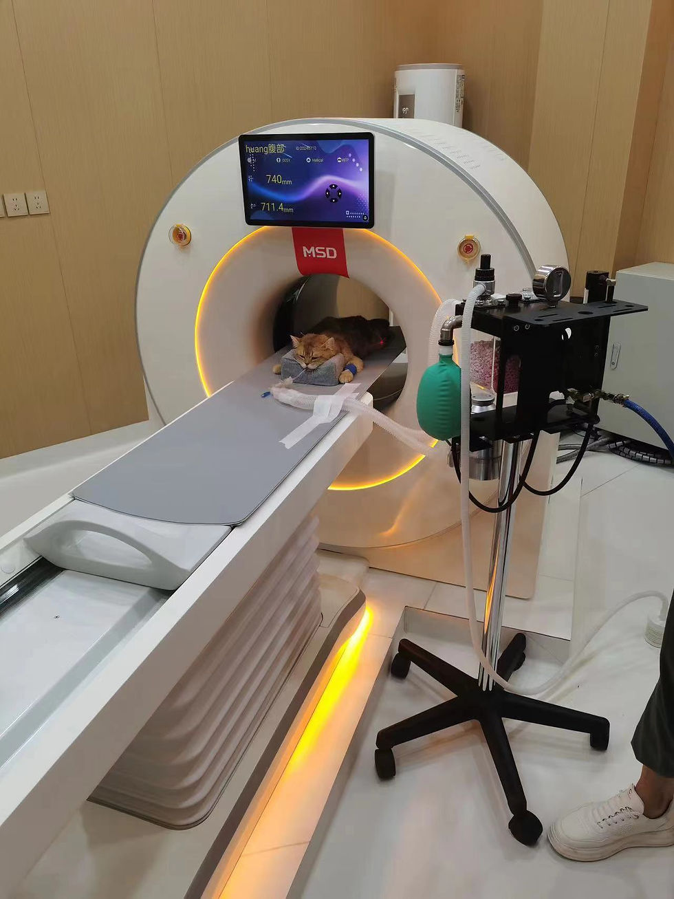 Veterinary spiral CT 32 slice NV-68 | VetMed--Nova MEDTECH