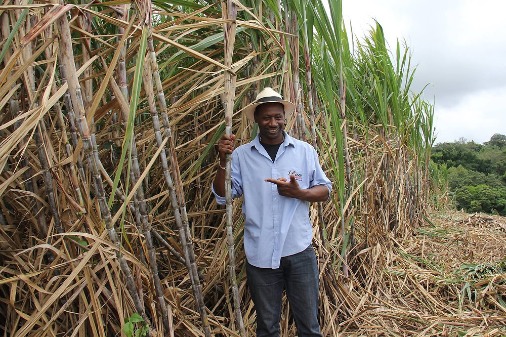 Interview: Ian Burrell