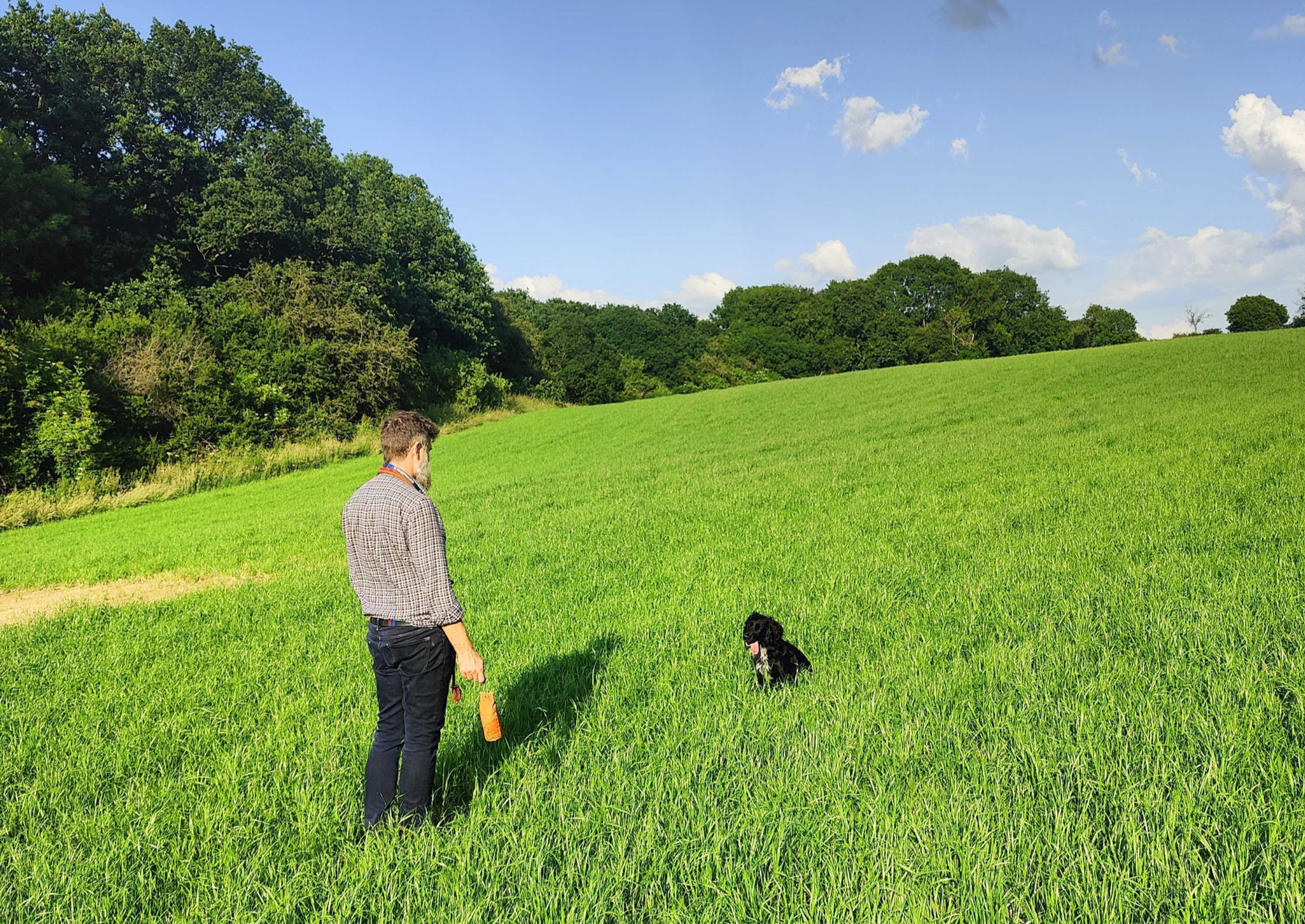 Byron Dog Training | One to Ones | Chipping Norton