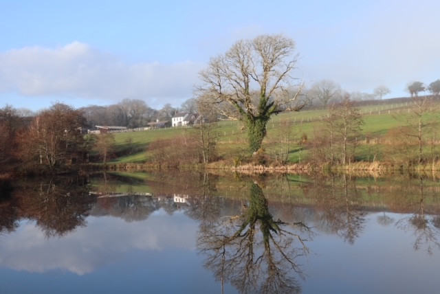 Home | Park Farm House Camping | West Wales