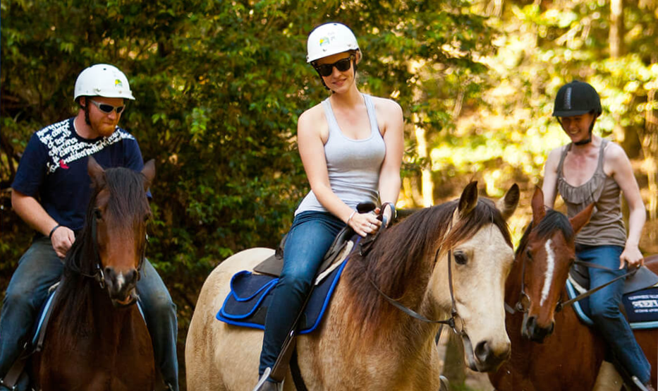 Horse Riding with Kangaroos & Koalas | Sydney Guided Tours