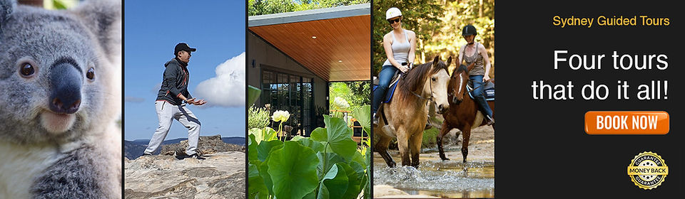 Horse Riding, Kangaroos and Koalas - Wil | Sydney Guided Tours