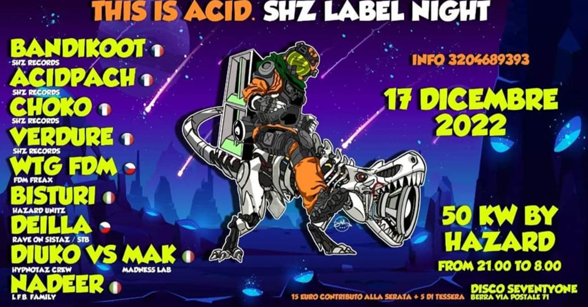 THIS IS ACID | RAVE PARTY TEKNIVAL