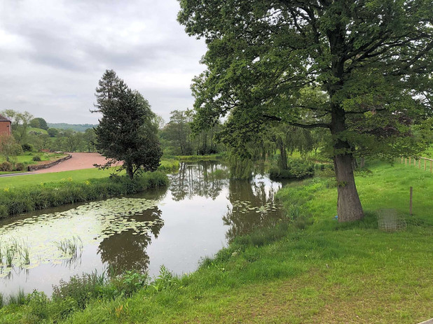Home | ORLETON COURT FARM