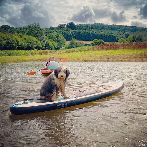 About | ORLETON COURT FARM