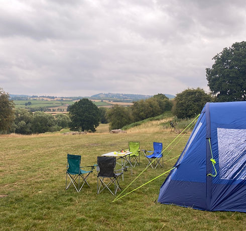 About | ORLETON COURT FARM