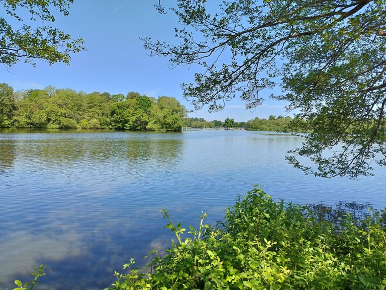 Redesmere