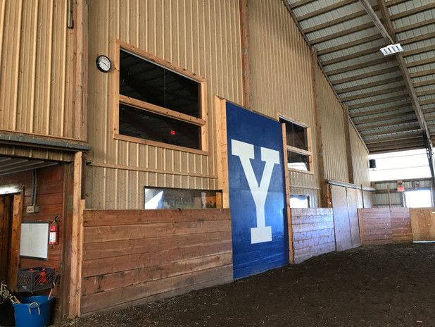 Polo at Yale | yalepoloteam