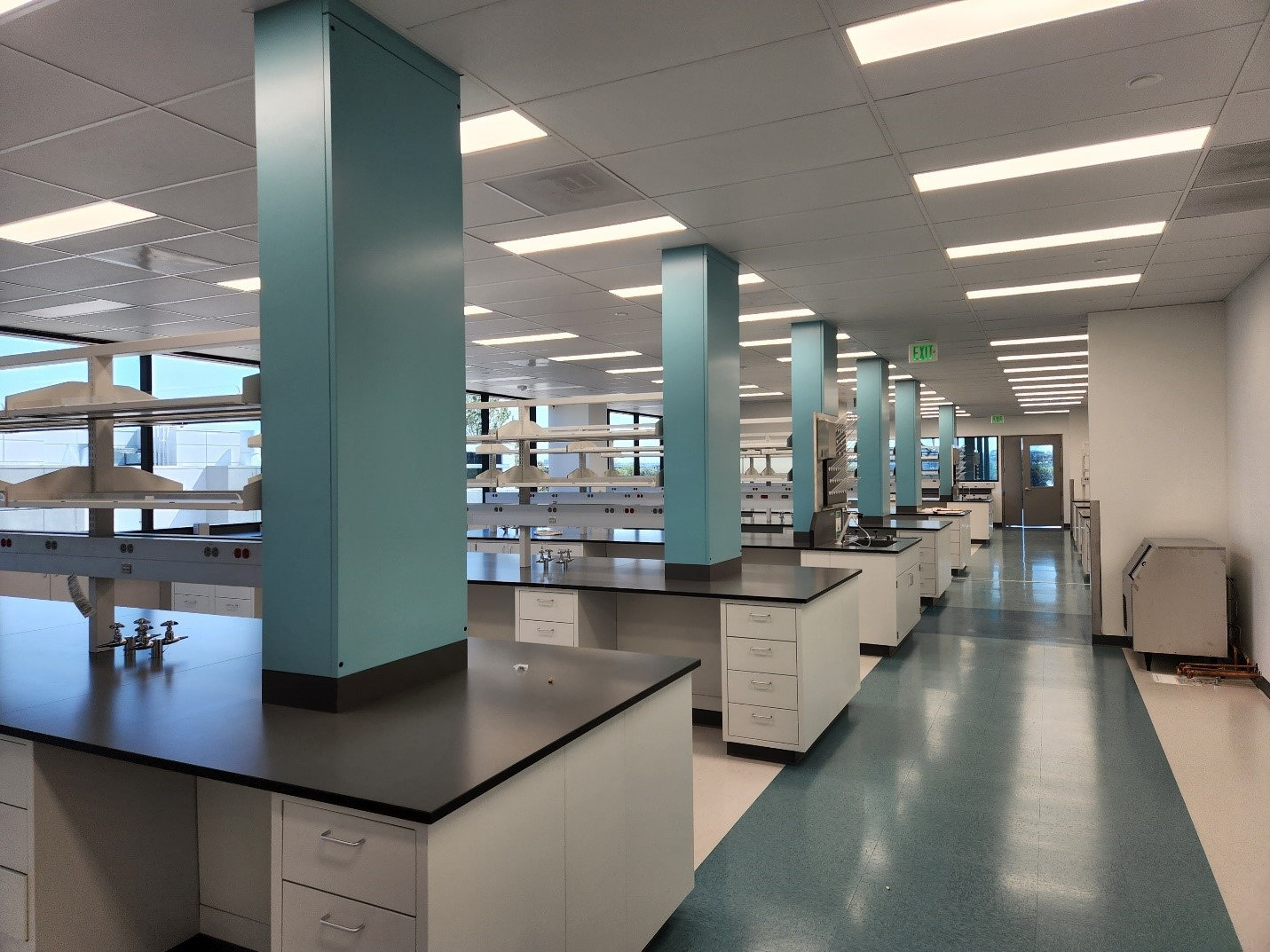 Zentalis Pharmaceuticals