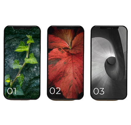 Living Lens Photography | iphone masterclass