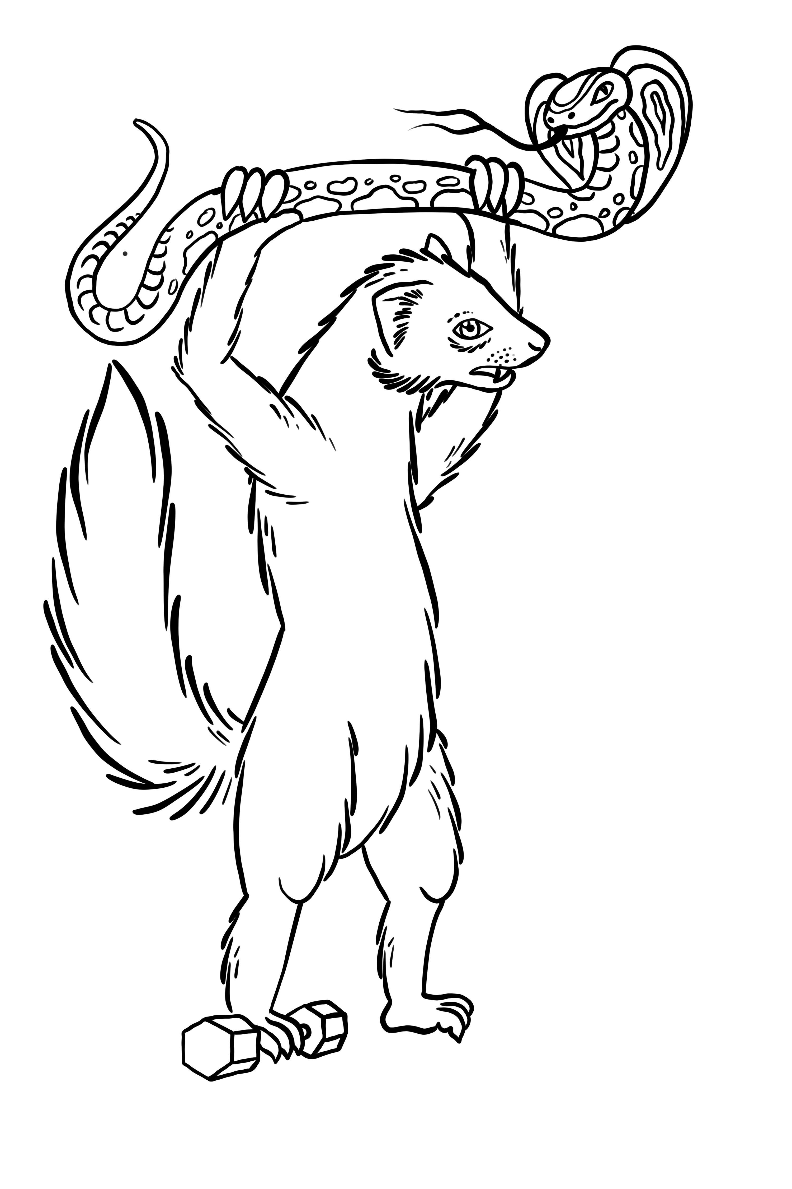 Mongoose Coloring Pages